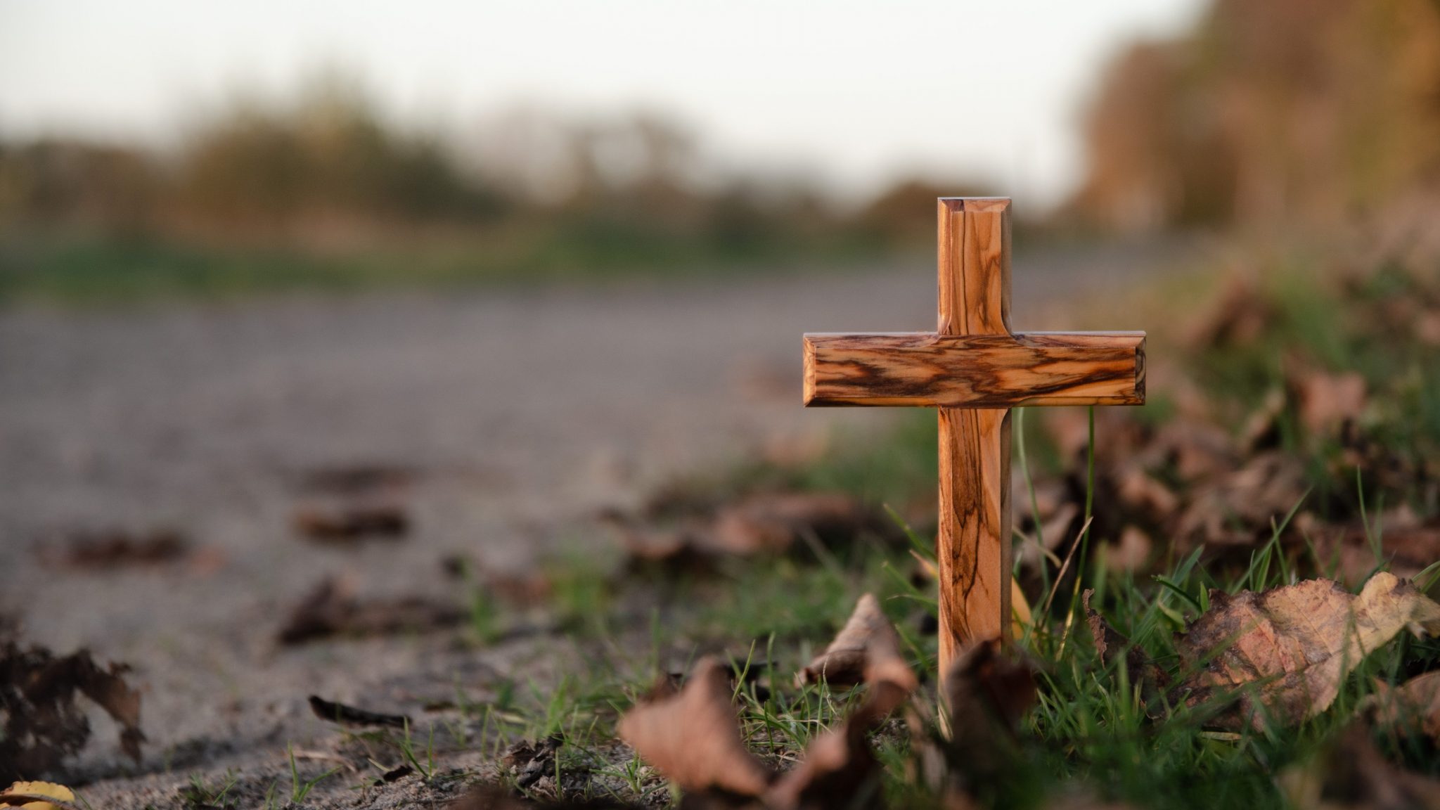 SELK Region Ost – Region Ost der Selbständigen Evangelisch-Lutherischen ...